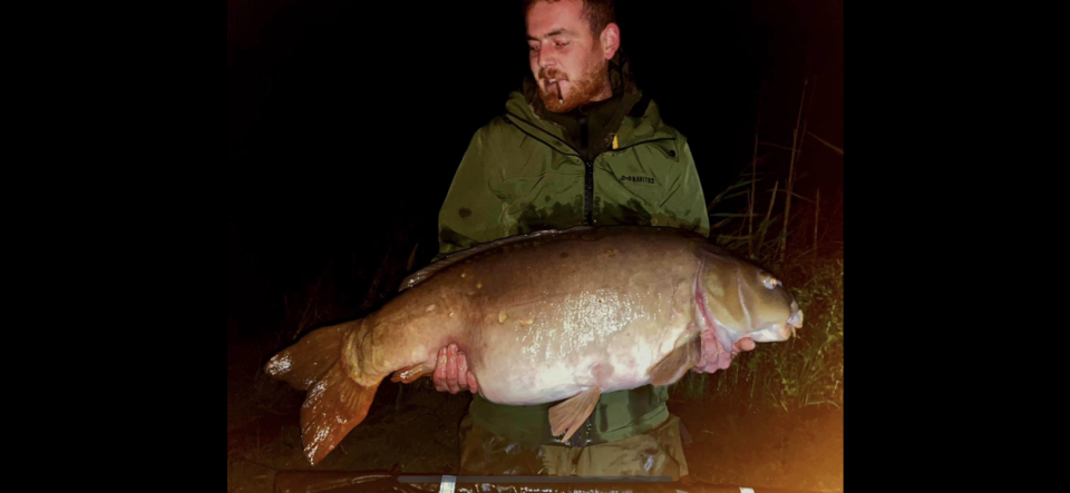 Mr | Total Carp